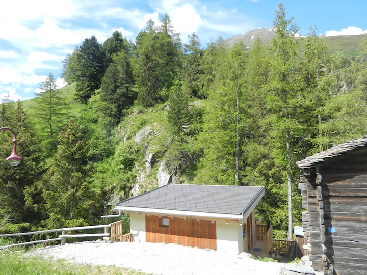 Lodge Du Pont St-charles - Champex-lac