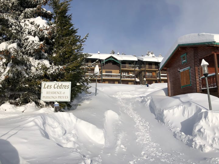 Studio De La Forêt Ii: Rez De Jardin 2/3 Personnes - Bourg-Madame