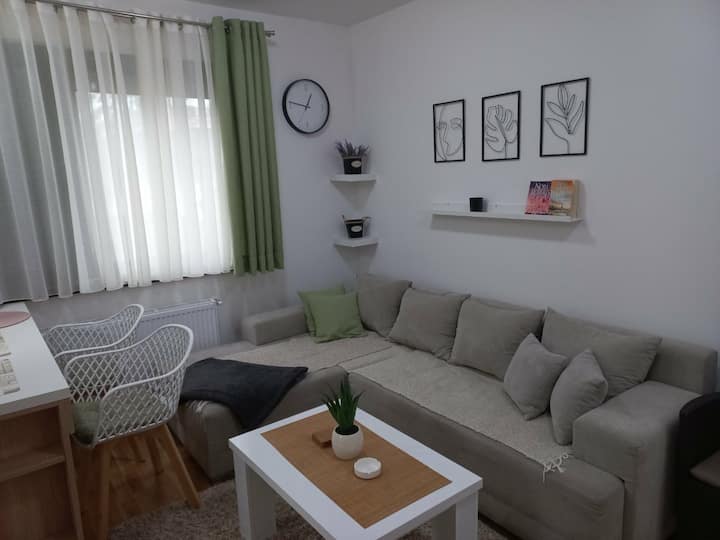 Apartment Sava - Zlatibor
