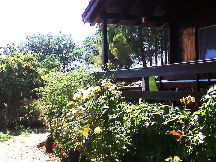 La Baita Vicina Al Mare - Castelbuono