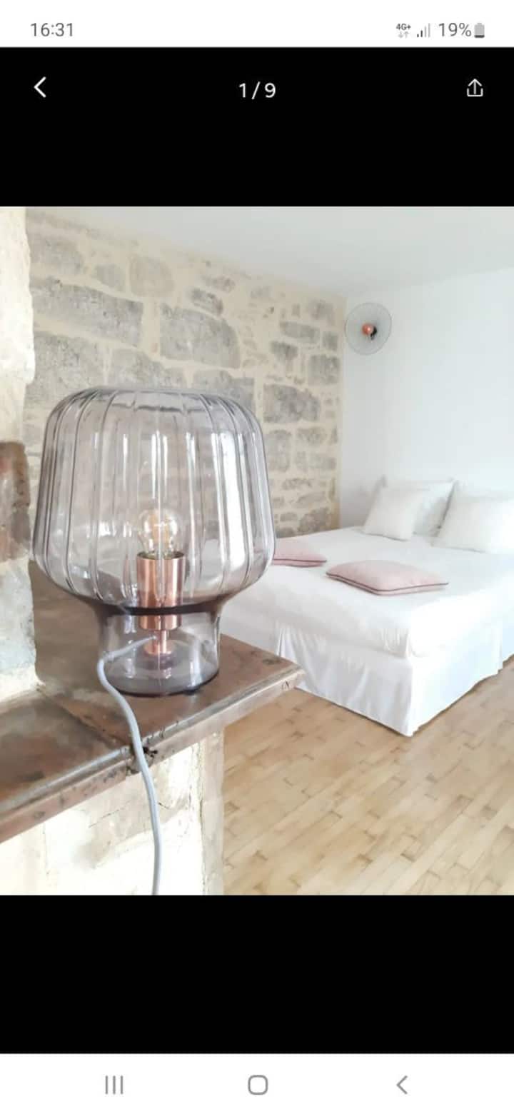 Appartement De Charme "Le Nid Des Oies" N°3 - Carsac-Aillac