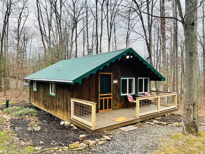 Lumberjack Cabin: Wifi+near Bald Eagle State Park - Pennsylvania