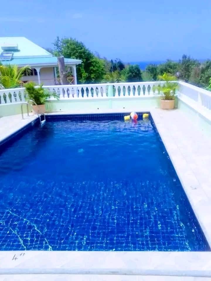 Freelance - Dominica