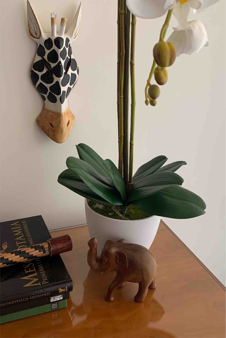 Las Canteras Suite - la Grande Canarie