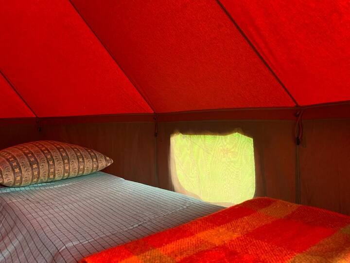 Ihastuttava Glamping Teltta. - Oulu
