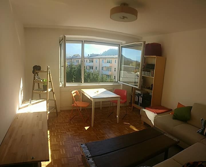 Central Two Rooms Apartment With Beautiful View. - Salzburg