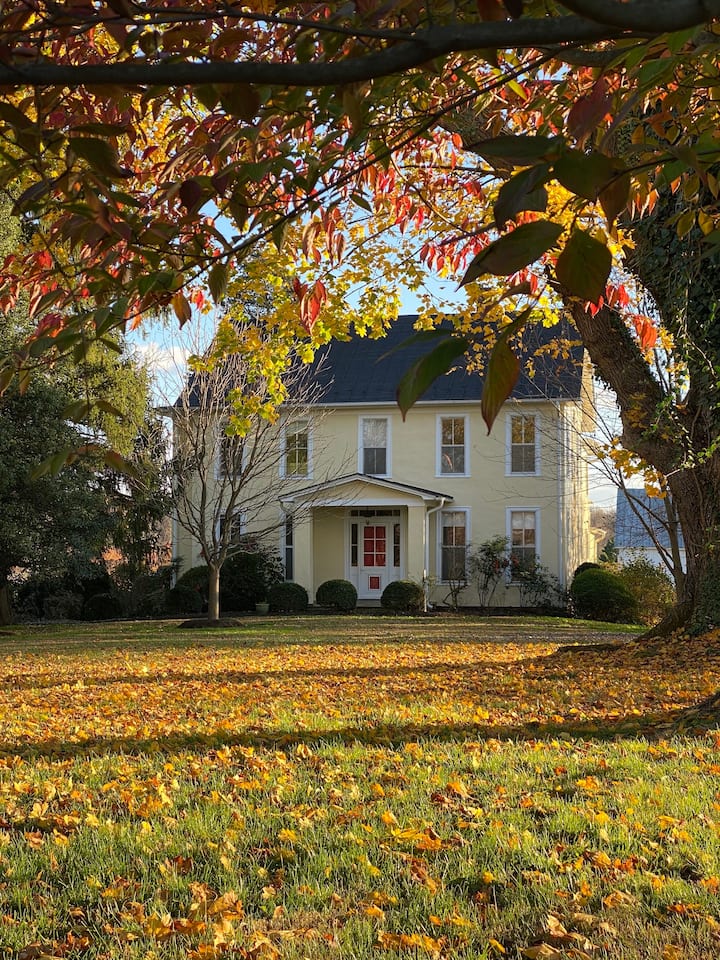 1890s Ellmore Farmhouse - OLIVER LAKE, Leesburg