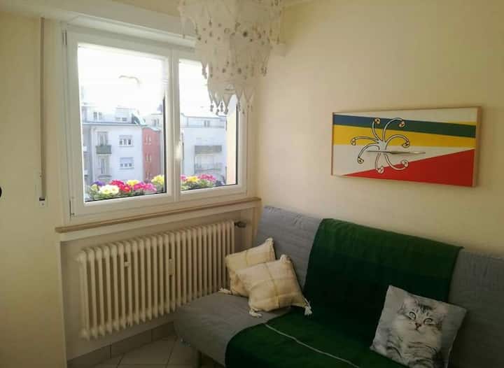 The Best,cheaper&nice Solution  Feel Like At Home! - Luxembourg