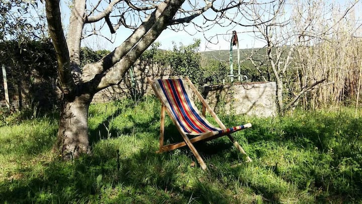 Petite Maison Sur  Terrain Arboré Proche Vallon - Ardèche
