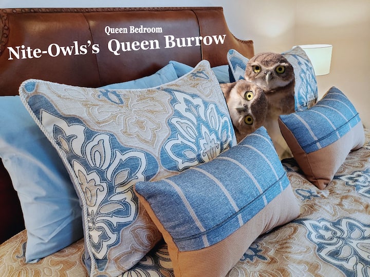 Suite Desert Moon - Monthly Plus Rental - Goodyear, AZ