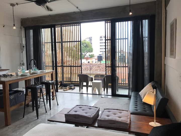 Studio E - Conchas Chinas