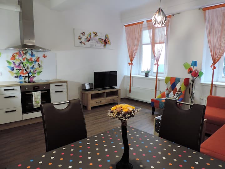 Tara Old Town Apartment (Air Conditioning) - Ljubljana