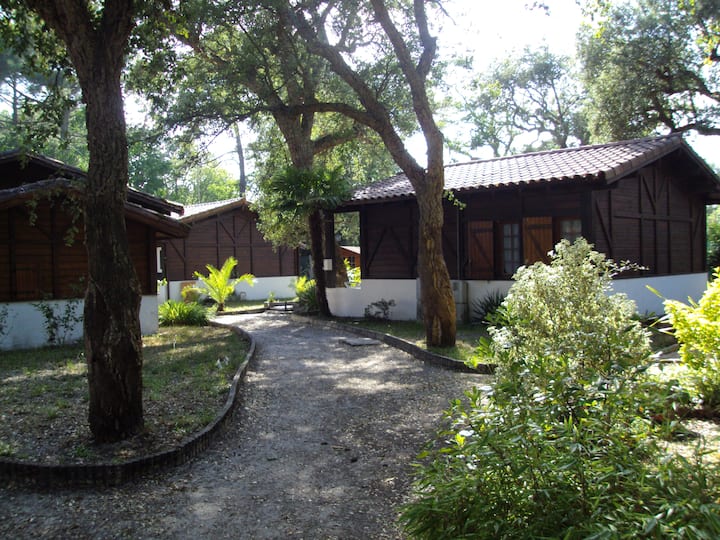 Landes, Chalet Avec Internet - Moliets-et-Maa