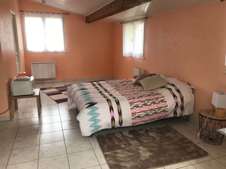 Chambre Très Spacieuse + Sdb Accès Indépendant - Cestas