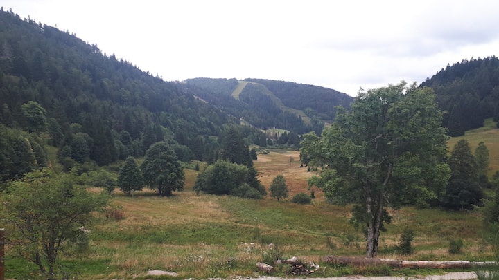 Au Coeur Des Vosges : Entre Ski Et Rando - La Bresse