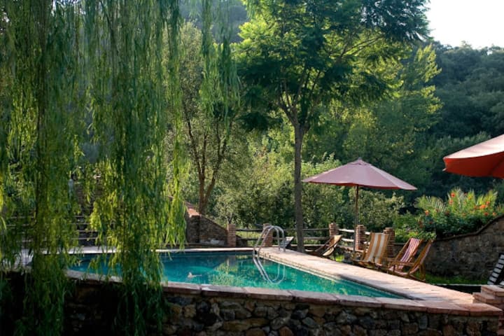 Casa Conejo - Molino Río Alájar - Alájar