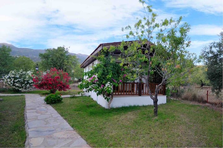 Yarımada Butik Otel - Mesudiye