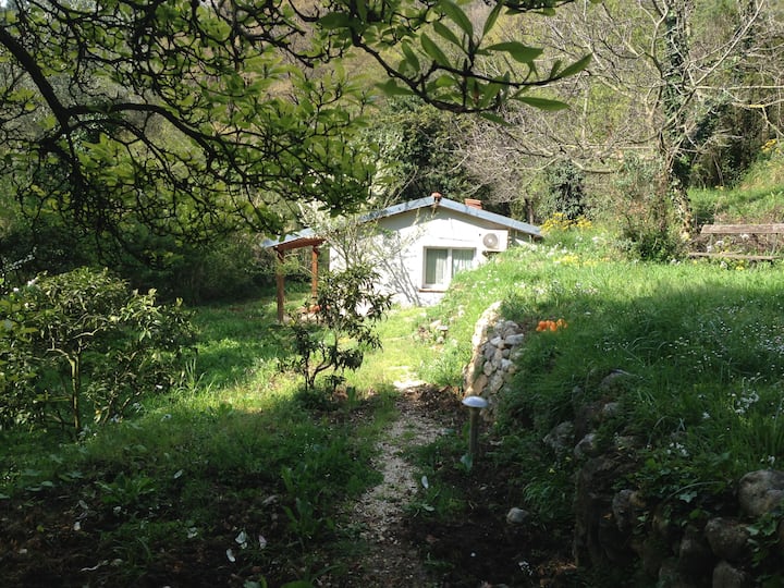 Petite Maison 2 Pièces - Mentone