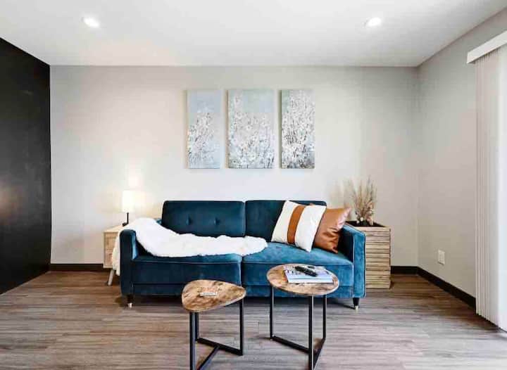 Apt 205 Red River/north Ut Campus/moody Center/dkr - Austin, TX