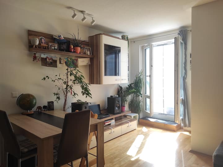 Schöne, Gut Gelegene 3-zi.-wohnung Mit Balkon - Munich