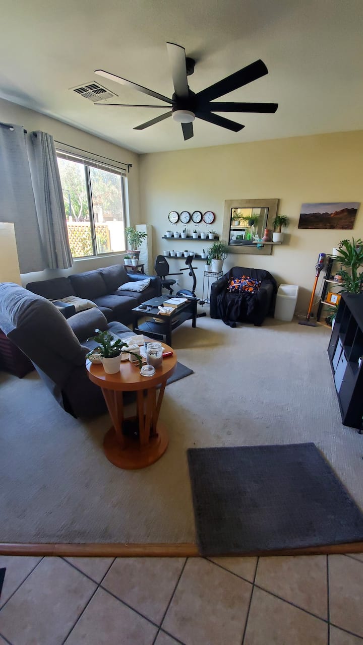 1bed, 1bath In Tempe - Tempe, AZ
