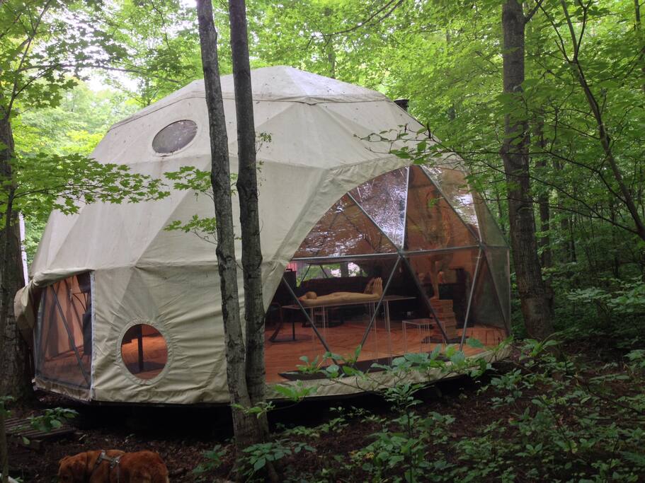 Forest Dome - Dome houses for Rent in Markdale, Ontario, Canada