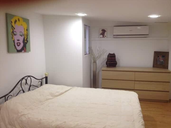 Loft Room Off Orchard Rd - Singapore