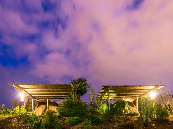 Glamping In Windhoek - Windhoek