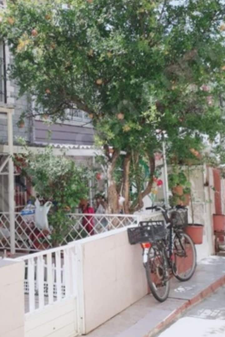 Sarımsaklı 'Da Günlük, Haftalık Kiralık Yazlık - Ayvalık