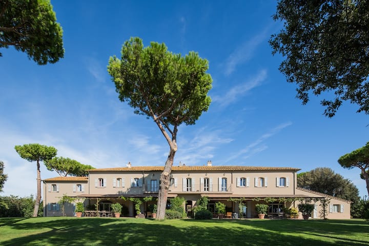 Grecale - Wine Cottage - Donna Olimpia 1898 - Castagneto Carducci