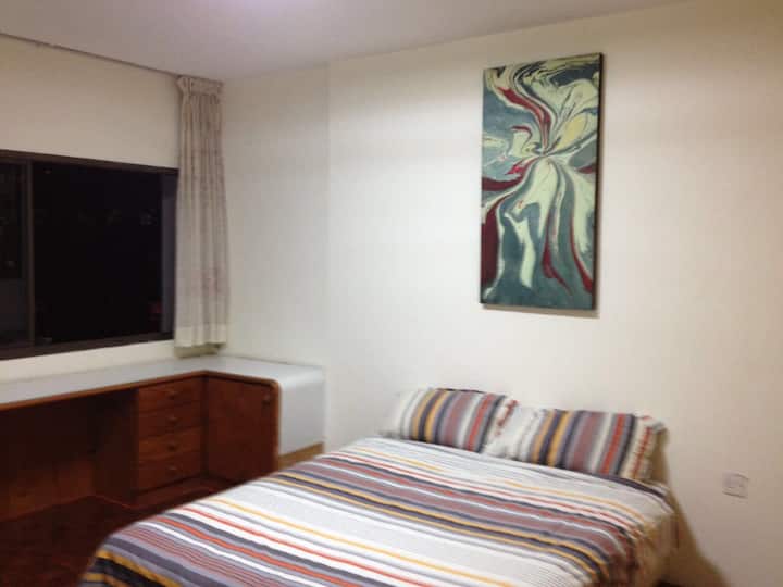 Condo-4 Mrt-stops-to-orchard-15 Min - Singapur