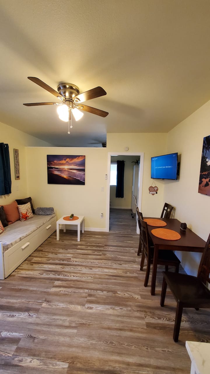 Tree Paradise Private Relax Backyard 6min Beach - Pinellas County, FL