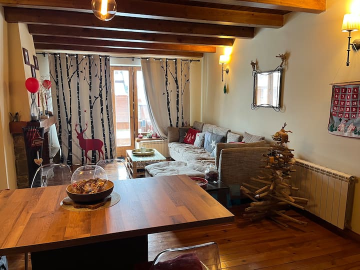 Appartement De Charme Tout Confort - Baqueira