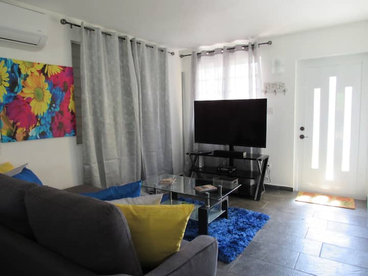 Casa La Piña Puerto Rico! - Puerto Rico
