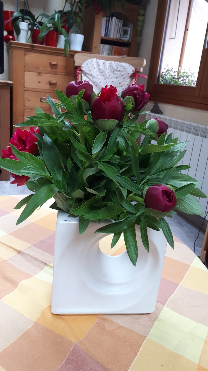Bienvenue ! - Albertville