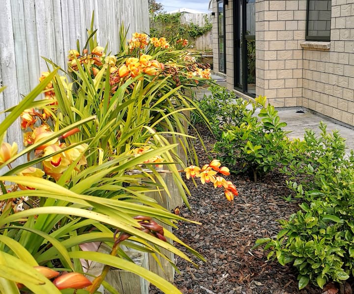 W&m Orchid House - Auckland