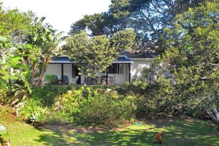 Milkwood Cottage On Banana Beach - Port Shepstone