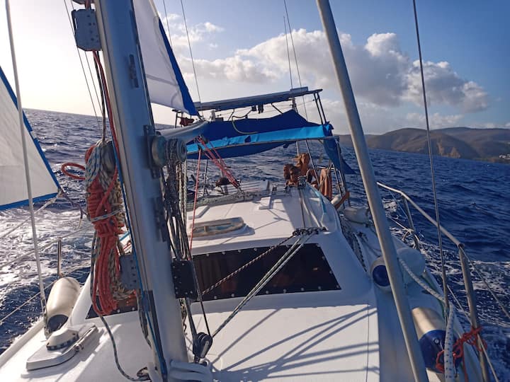 Expérience à Bord D'un Voilier Privatisée, Pro - Martinique