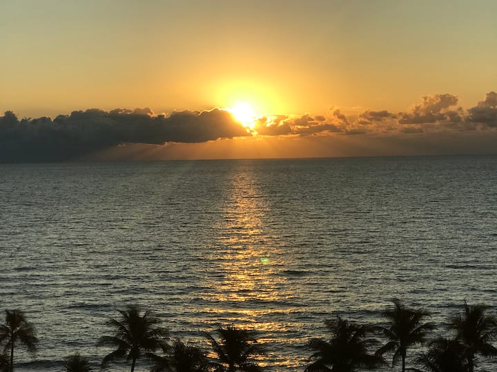 Fantastic Seafront Condo In Hollywood Beach! - Hollywood, FL