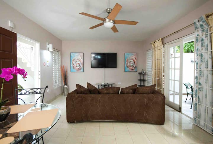 Centrally Located Super One-bedroom - Jamaica