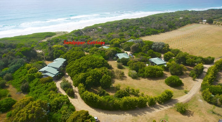 Sandpiper Ocean Cottage - Douglas Apsley National Park