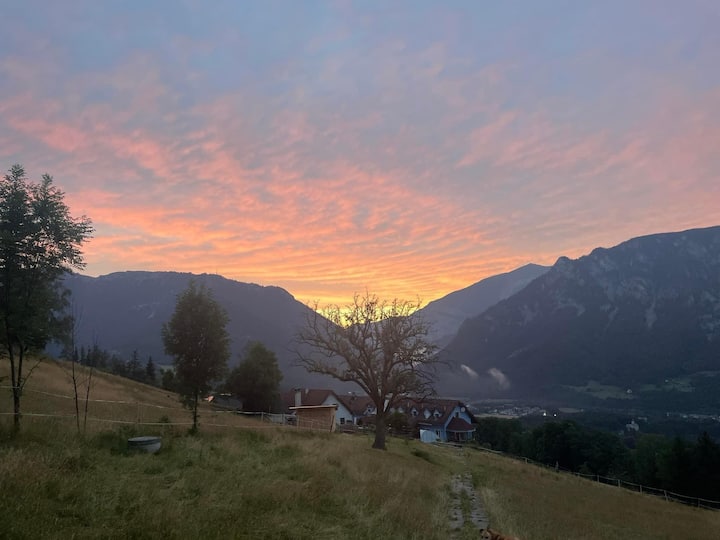 Mariengestüt Am Kreuzberg - Semmering