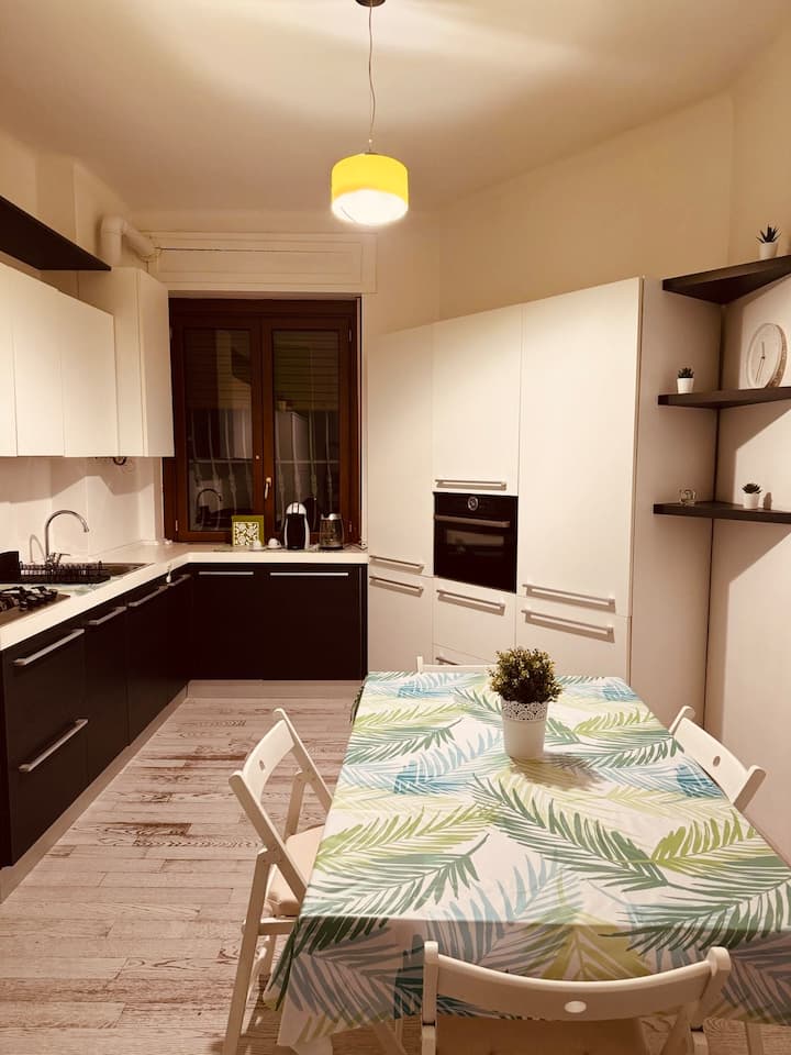 Las Palmas Citta Studi - Milan