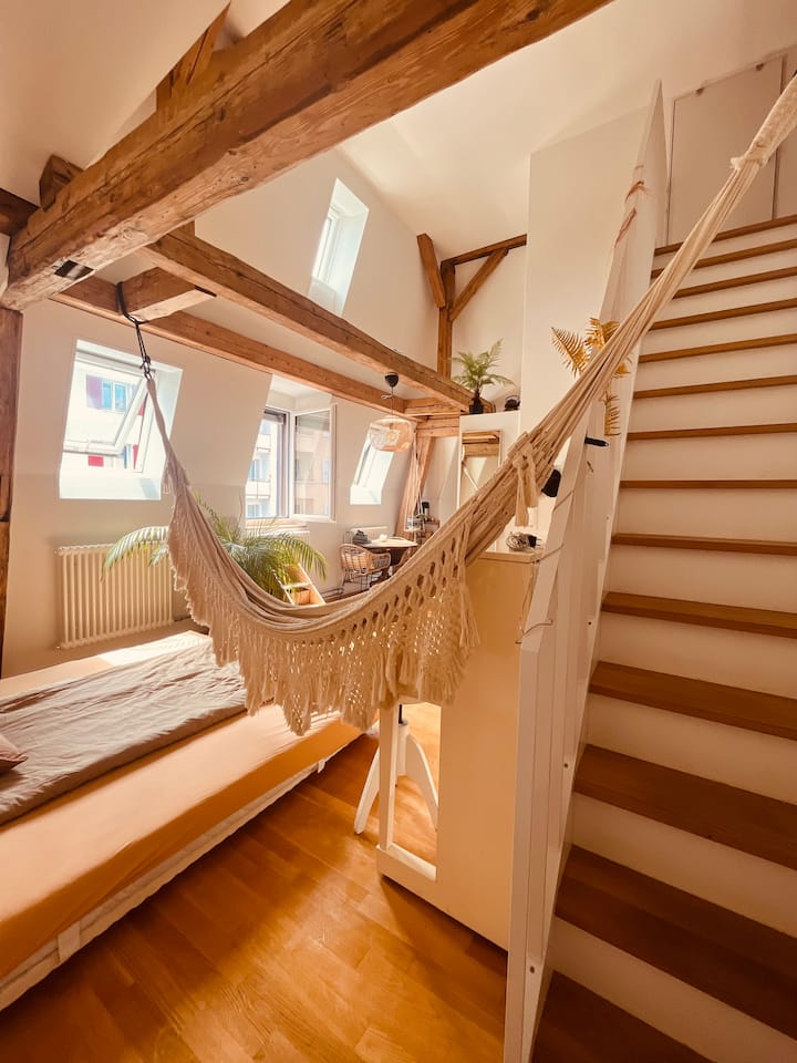 Bôhemia- Dreamhome Duplex In The Heart Of Bern - Berne