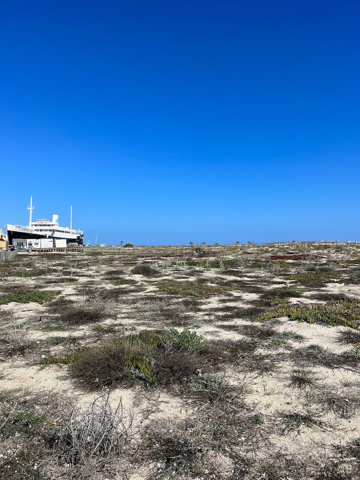 «&nbsp;Studio De Plage Avec Son Accès Direct à La Mer&nbsp;» - Torreilles