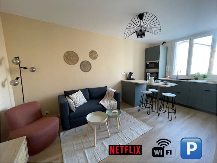 T1 Bis Parking Wifi Netflix - Aydat