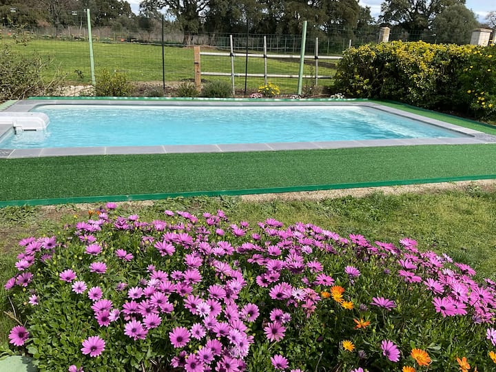 Charmant Appartement Calme - Ghisonaccia