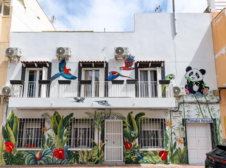 Panda House - Torrevieja