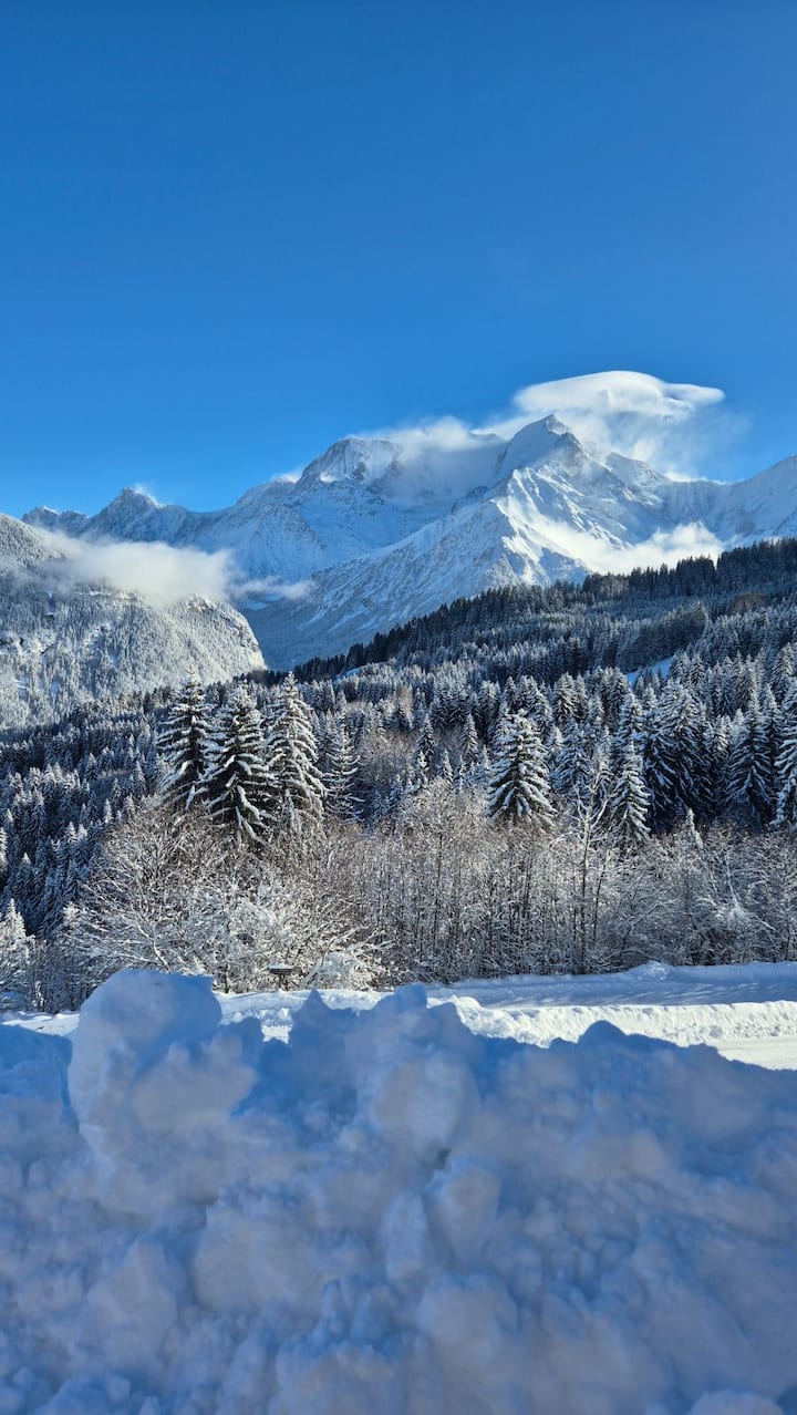 Saint-gervais Mt Blanc Appt 4pers, Refait à Neuf - Megève