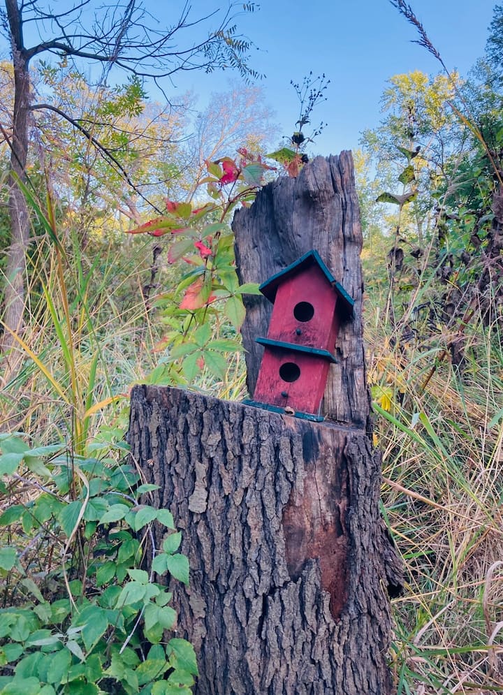 Woodland Guest Suite-vintage Libertyville Chicago - Gurnee, IL